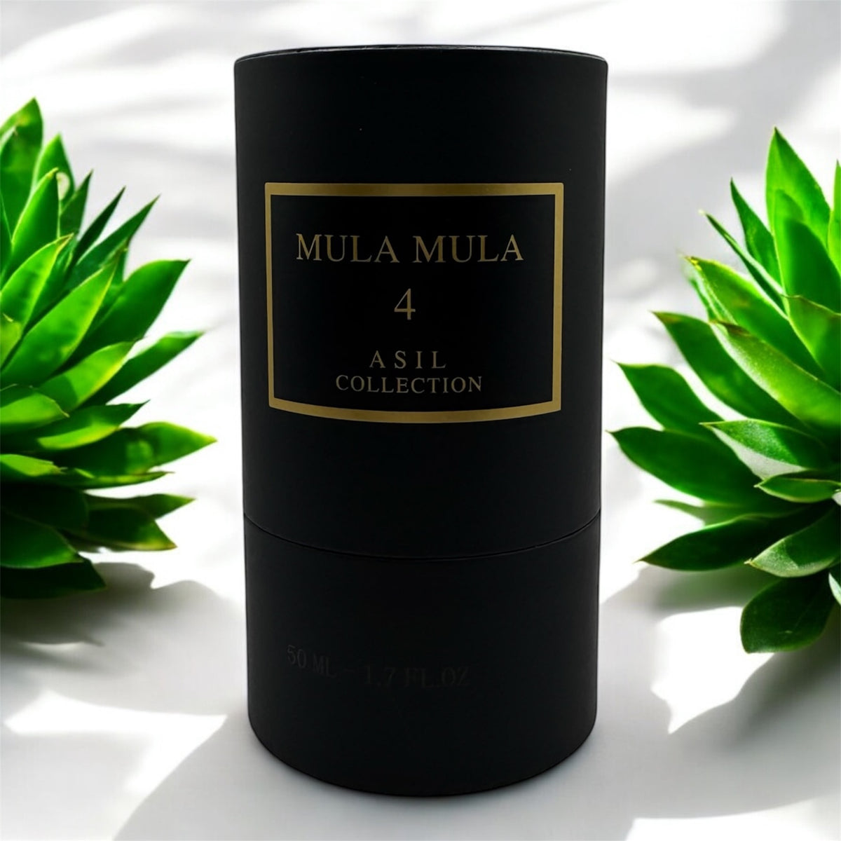 Asil Collection - Mula Mula 4 Eau de Parfum 50ml – EssenceWelt